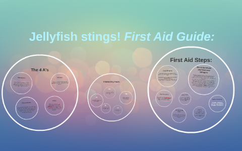 Jellyfish stings! First Aid Guide: by EggyCaity FriendBear