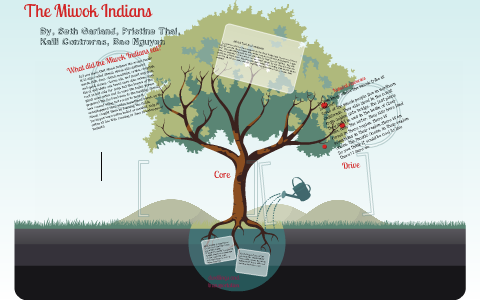 life of the Miwok tribe by Sandburg Tigers on Prezi