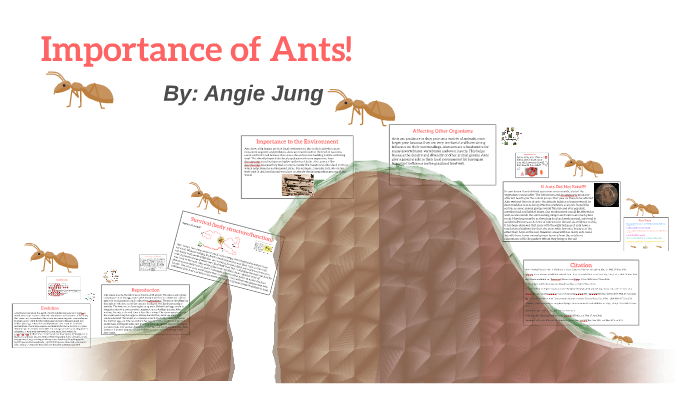 Importance of Ants! by Angie Jung on Prezi
