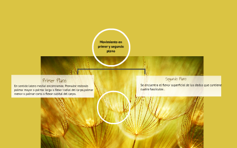 Movimiento en primer y segundo plano by mery diaz on Prezi