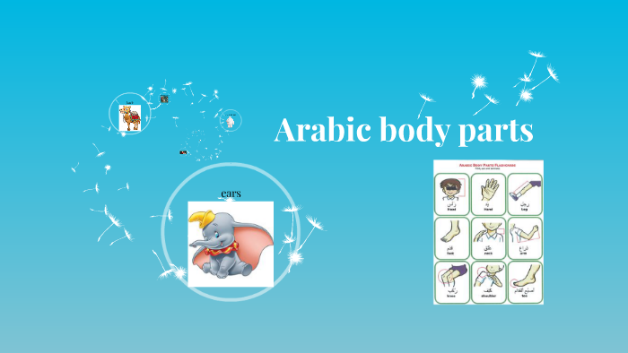 arabic body parts by on Prezi