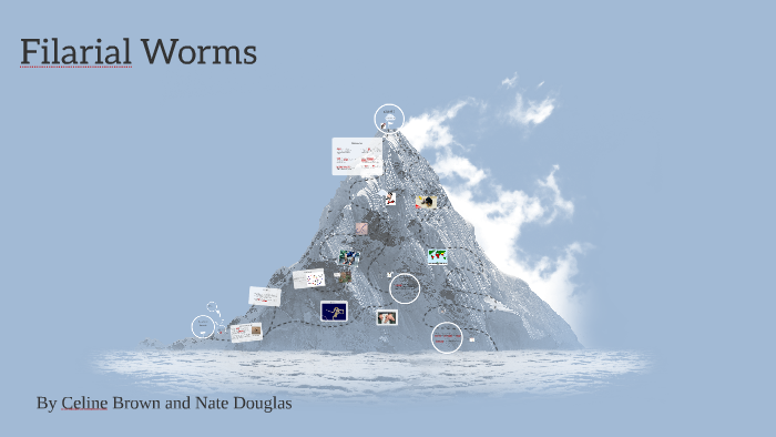 Filarial Worms by Nathan Douglas on Prezi