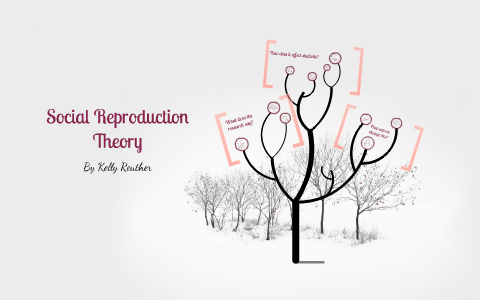 Social Reproduction by kelly reuther on Prezi