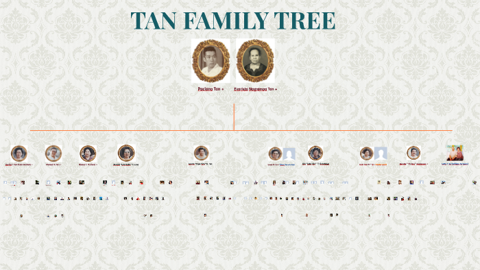 Tan Family Tree by Chessa Yutankin on Prezi