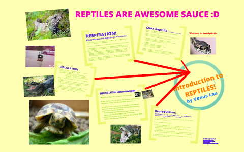 Introduction to Reptiles by Venus Lau on Prezi
