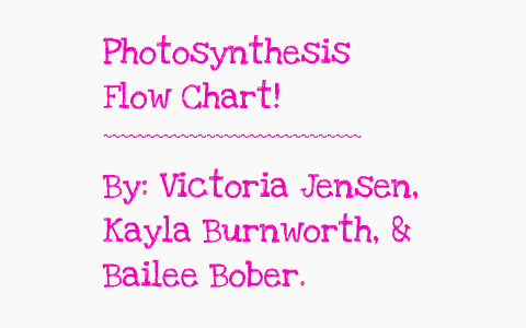 Biology Flowchart by Bailee Bober on Prezi