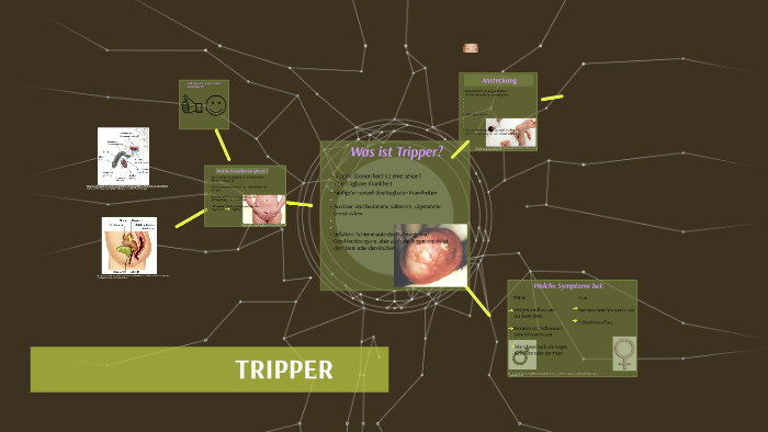 Was ist Tripper by Imen M. on Prezi
