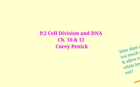 p.2, Cell Division and DNA by Makayla Shotts on Prezi