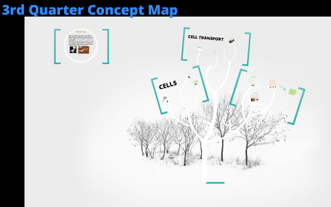 3rd Quarter Concept Map by Emily Trinh