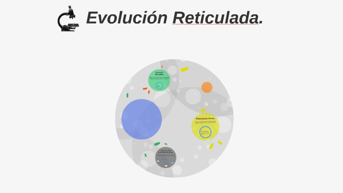 Evolución Reticulada. by Natalia Uribe on Prezi