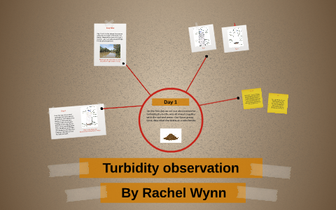 Turbidity observation by Rachel Wynn on Prezi