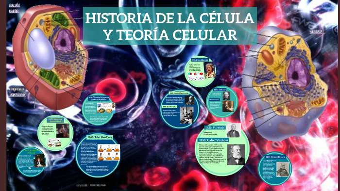 Historia De La CÉlula By Yuly Rodas On Prezi