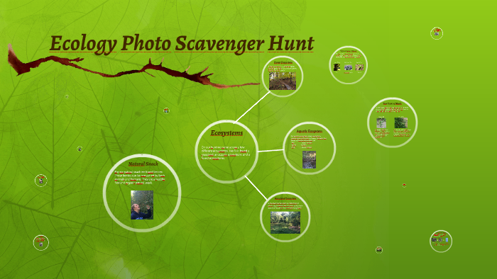 Ecology Photo Scavenger Hunt by Ethan Pollard on Prezi