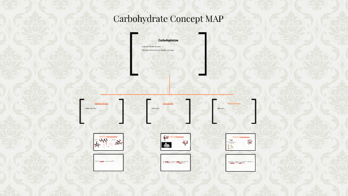 Carbohydrate Concept MAP by Austin Burnette on Prezi