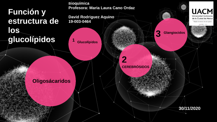 Estructura y función de los glucolípidos by David Rodriguez Aquino on Prezi
