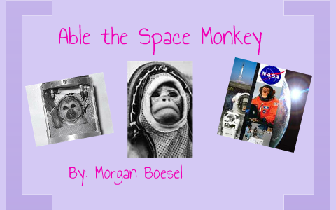 Able the Space Monkey by Morgan Boesel on Prezi