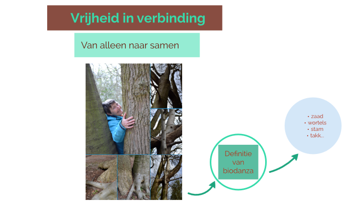Monografie Vrijheid in verbinding via de metafoor van een boom by Marga ...