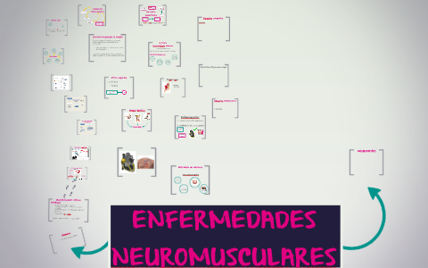Miopatias by isabel preciado on Prezi