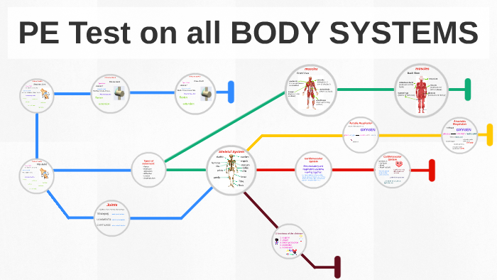 PE Test on all BODY SYSTEMS by Gabby Delord on Prezi