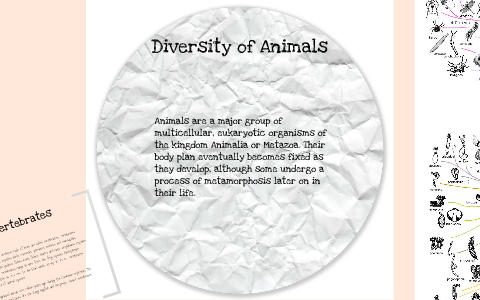 Diversity of Animals by Chad Nading