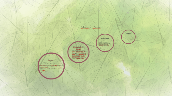 Johannes by jerry dank meme on Prezi