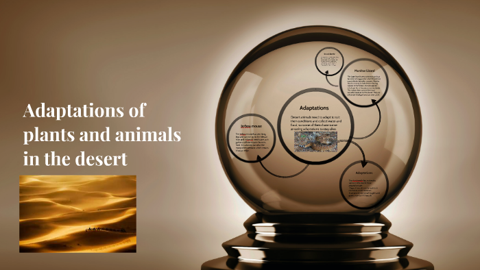 Adaptations of plants and animals in the desert by Max Renwick on Prezi