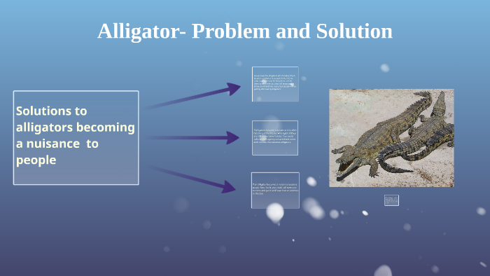 Alligator Problem and Solution by Katie Dahn on Prezi