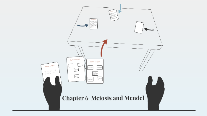 Chapter 6 Meiosis and Mendel by Joseph Porco on Prezi