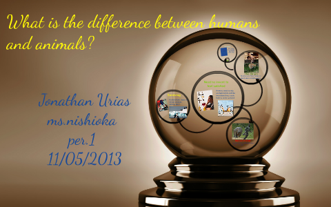 What is the difference between humans and animals by jonathan urias on ...