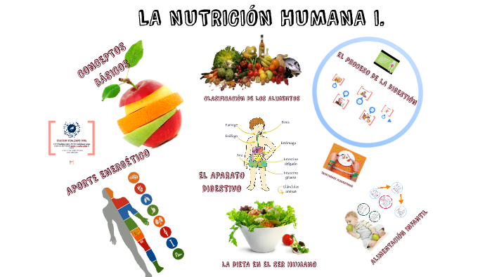 Nutrición Humana 1 by Javier Perdomo on Prezi