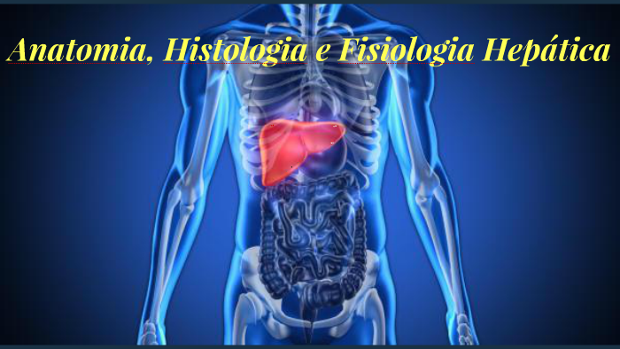 Anatomia, Histologia e Fisiologia Hepática by Suelen Rezende on Prezi