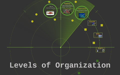 Levels of Organization by Chase Hayman