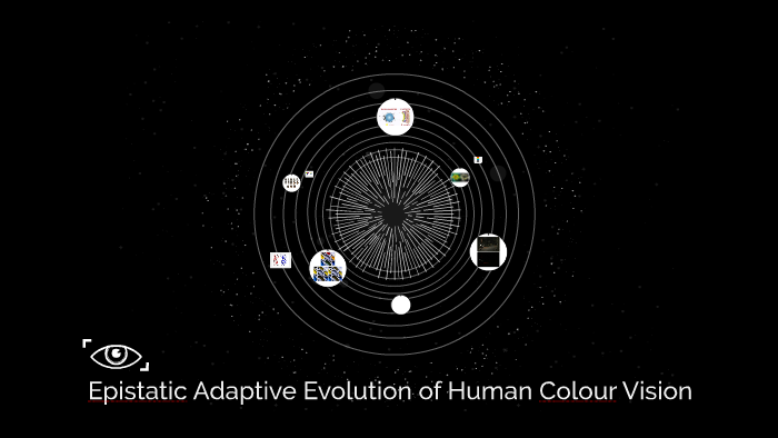 Epistatic Adaptive Evolution of Human Colour Vision by on Prezi