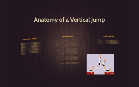 Anatomy of a Vertical Jump by Rebecca Kay on Prezi