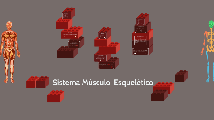 Sistema Músculo-Esquelético by Alanis Quintero on Prezi