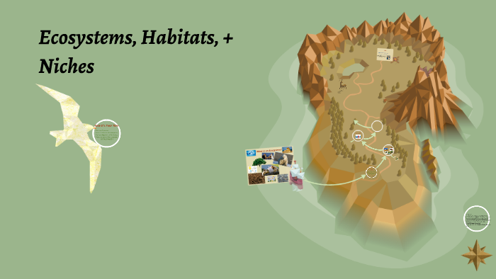 Ecosystems, Habitats, + Niches by BriAnne Trout on Prezi