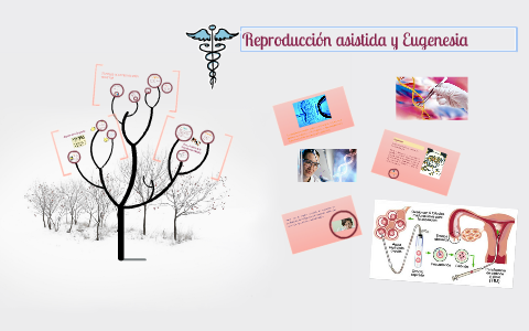 Reproducción asistidaa y Eugenesia by Danny BF