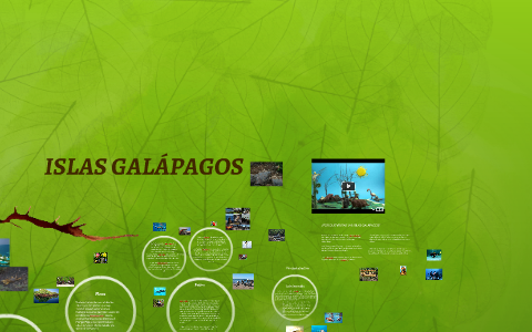 Islas Galapagos by Allison Cevallos on Prezi
