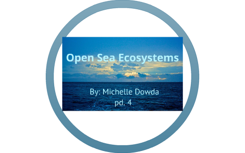 Open Sea Ecosystems by Michelle Dowda on Prezi