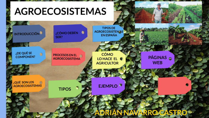AGROECOSISTEMAS by ANGELES CASTRO GARCÍA on Prezi