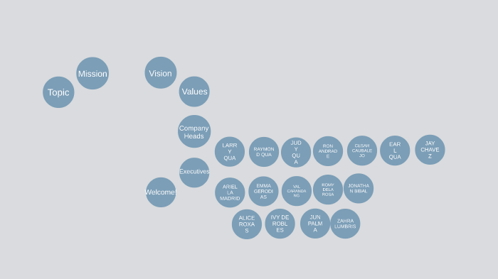 Ionics EMS Company Profile by Nicolas III Agor on Prezi