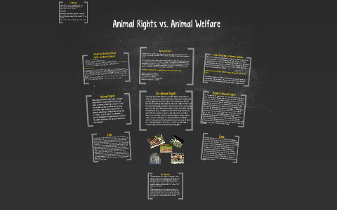 Animal Rights Vs. Animal Welfare by Gabby Ferrer on Prezi