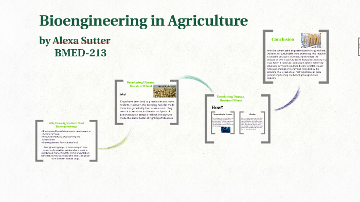 Bioengineering in Agriculture by on Prezi