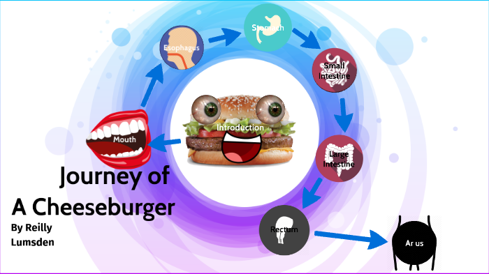 Journey of a Cheeseburger by Reilly Lumsden on Prezi