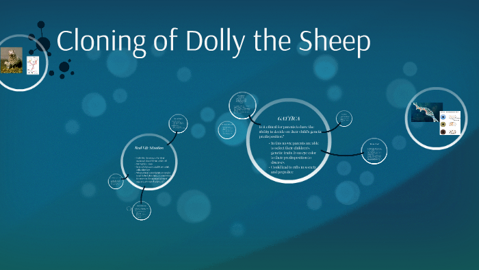 Cloning of Dolly the Sheep by kayla hicks on Prezi