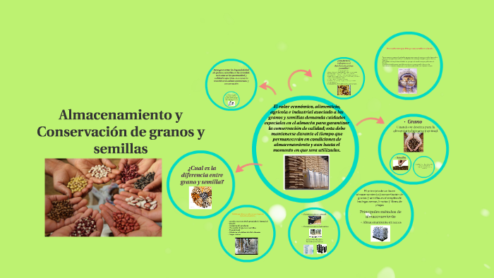 Almacenamiento y Conservación de granos y semillas by Yaritza Martínez on Prezi