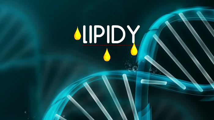 lIPIDY by Kamil Black on Prezi