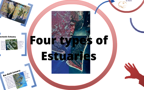 The four types of Estuaries by Taryn Moore on Prezi
