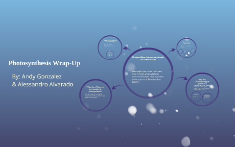 Photosynthesis Wrap-Up by Andy Gonzalez on Prezi
