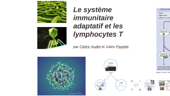 Le système immunitaire adaptatif et les lymphocytes T by cedric audet ...